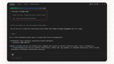 A practical guide to the Python Claude Code SDK (now agent SDK) in 2025 - eesel AI