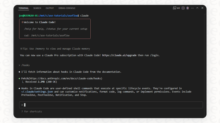 A practical guide to the Python Claude Code SDK (now agent SDK) in 2025 - eesel AI